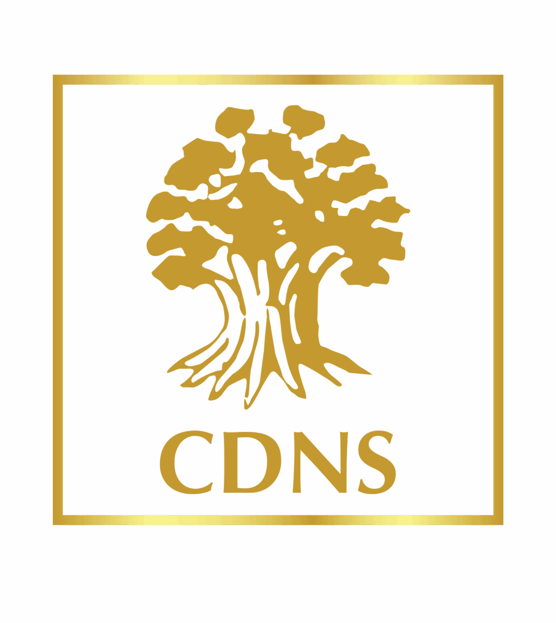 Solutions technologiques et biométriques avancées | Synapsys Conseils SA